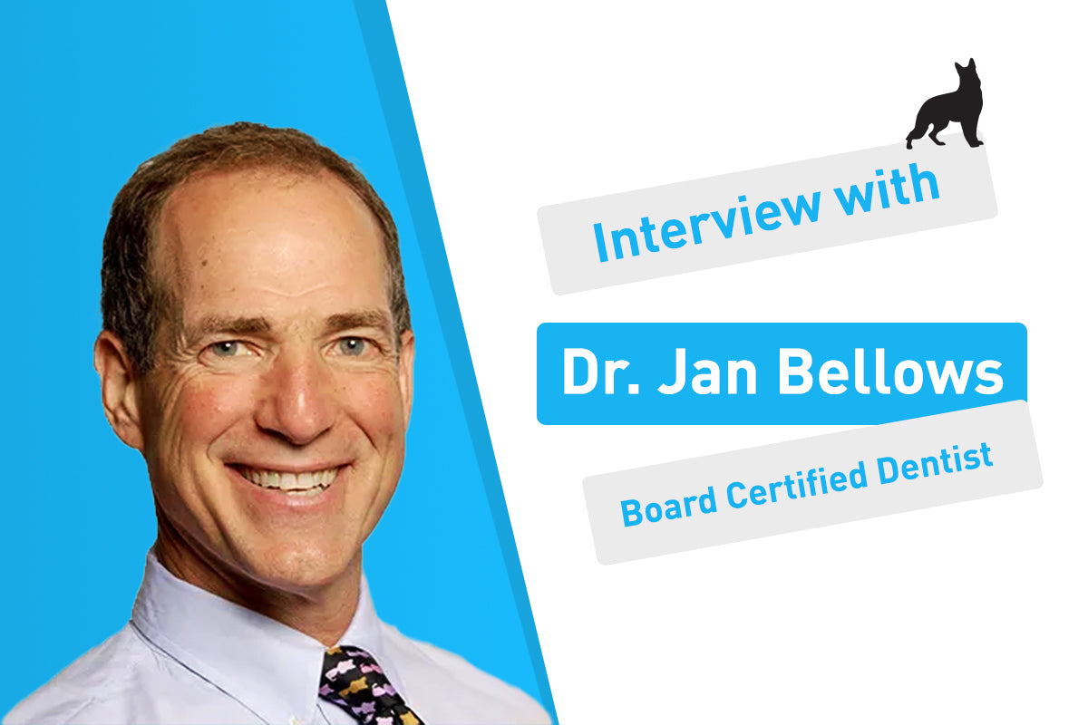 Interview with Board Certified Dentist Dr. Bellows – VETIGEL ...