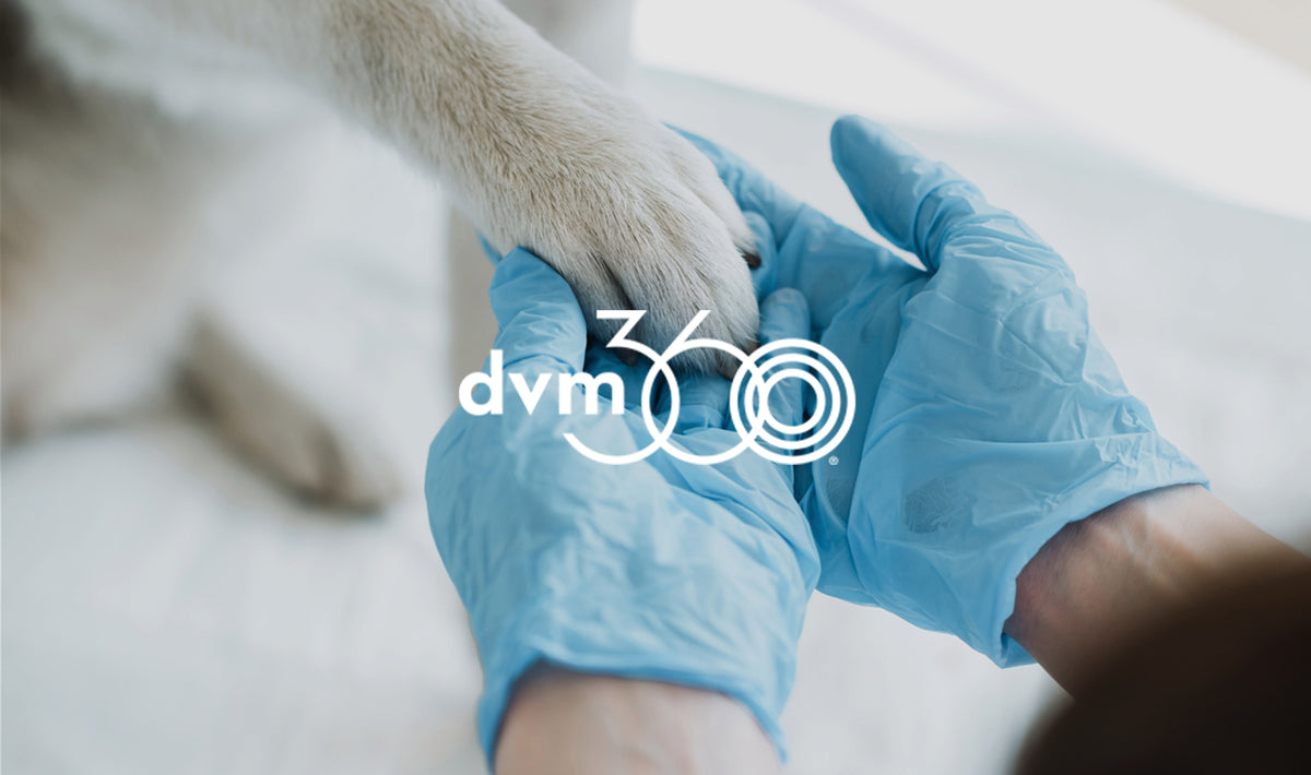 New philanthropy program will sponsor life-saving veterinary surgeries ...