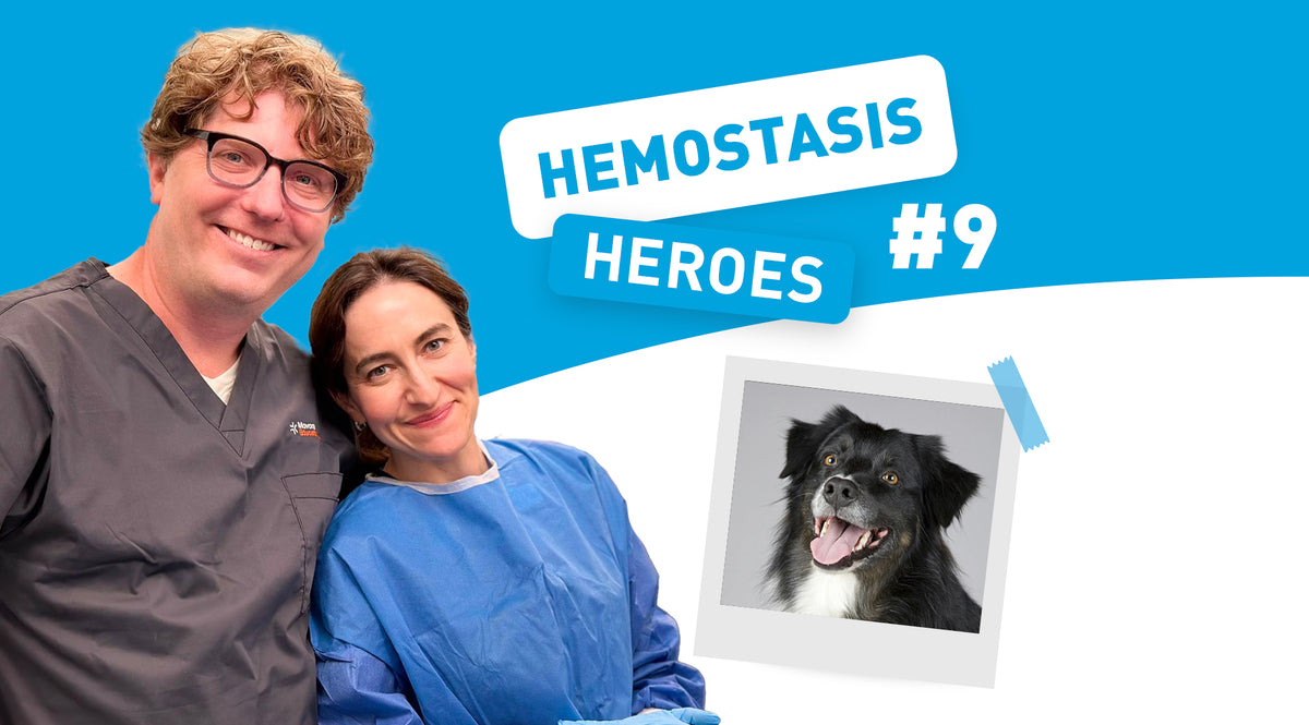 Hemostasis in Veterinary Surgery: Dr. Kahn Shares His Experience with ...