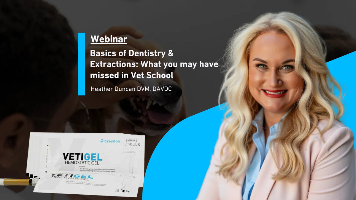 Basics of Dentistry & Extractions with Heather Duncan DVM, DAVDC: What ...