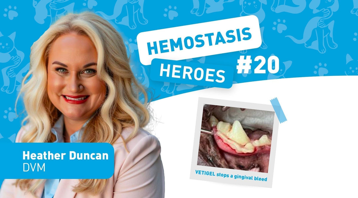 Dr. Heather Duncan, DVM, on How VETIGEL® Enhances Oral Surgery in Vete ...