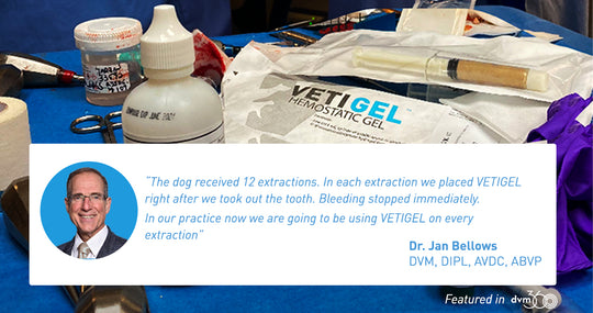 DVM 360 - 10 dental hacks to enhance your veterinary practice in 2022 ...