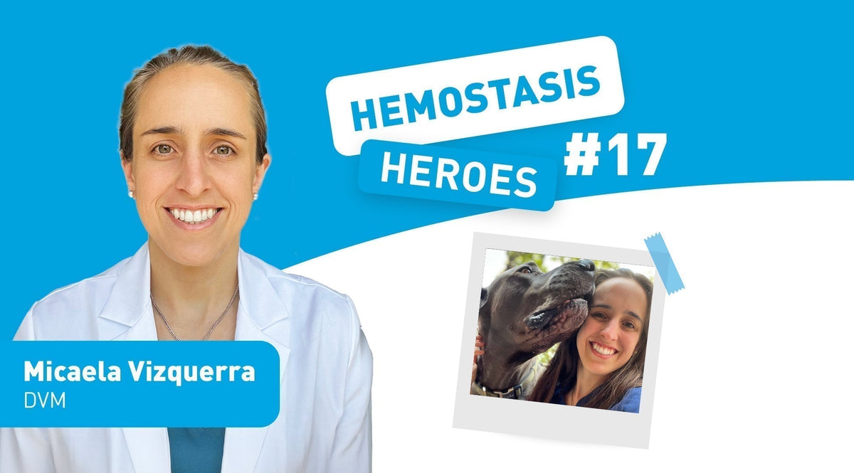 Fast, Effective Hemostasis: Dr. Vizquerra’s Take on VETIGEL – VETIGEL ...
