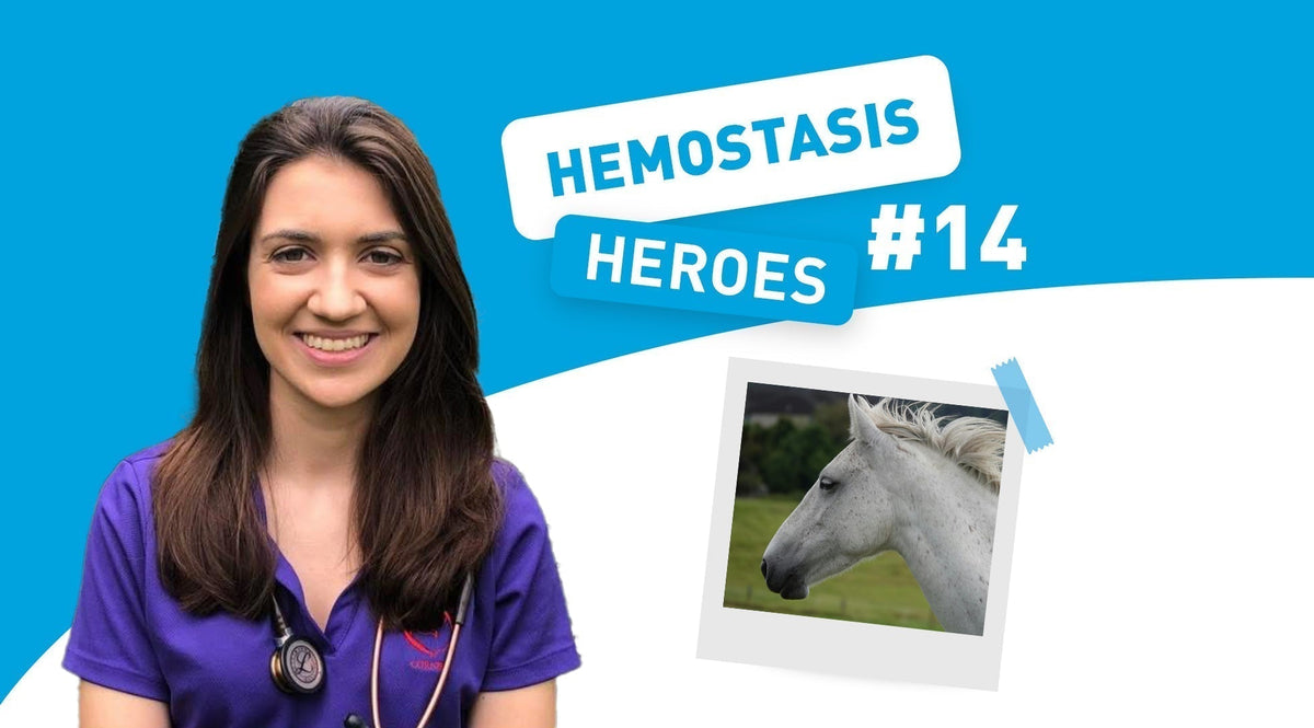 Dr. Emily Tuttle on Using VETIGEL® to Achieve Hemostasis in Seconds fo ...