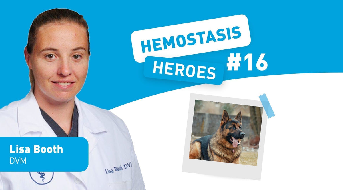 Dr. Lisa Booth on VETIGEL® for Trauma and K9 Care – VETIGEL® Hemostatic Gel