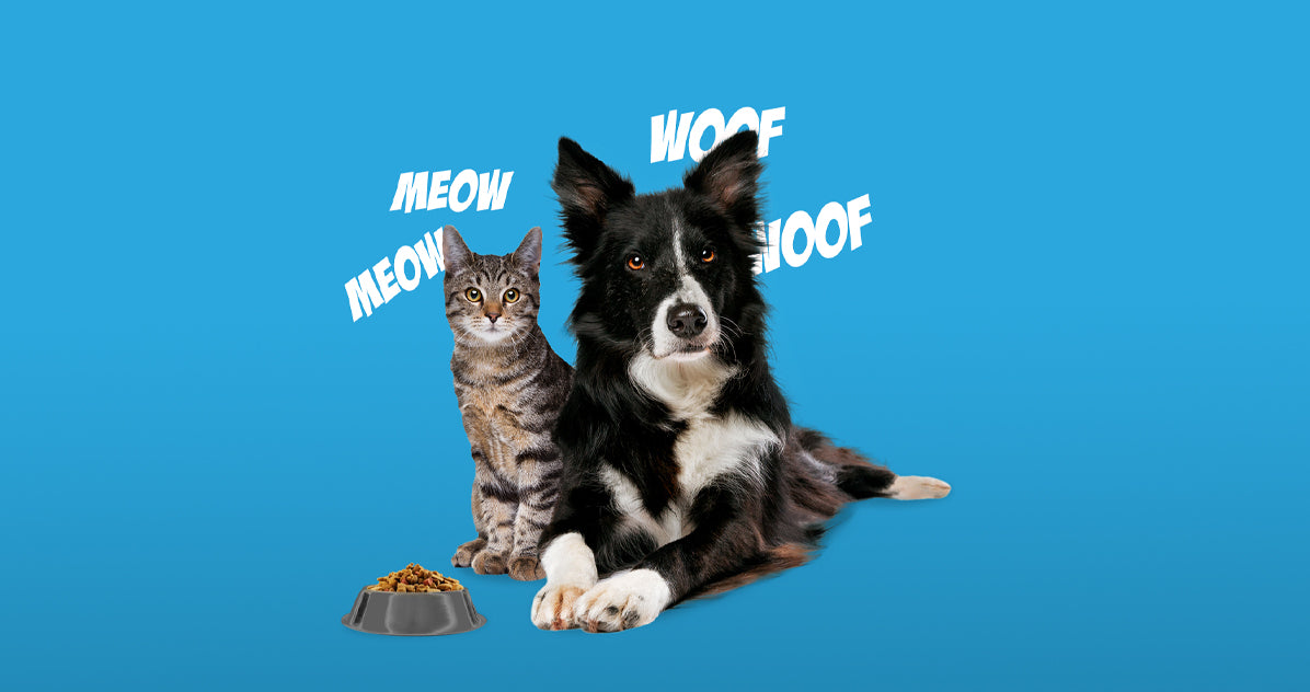 Pet Nutrition Month – VETIGEL® Hemostatic Gel