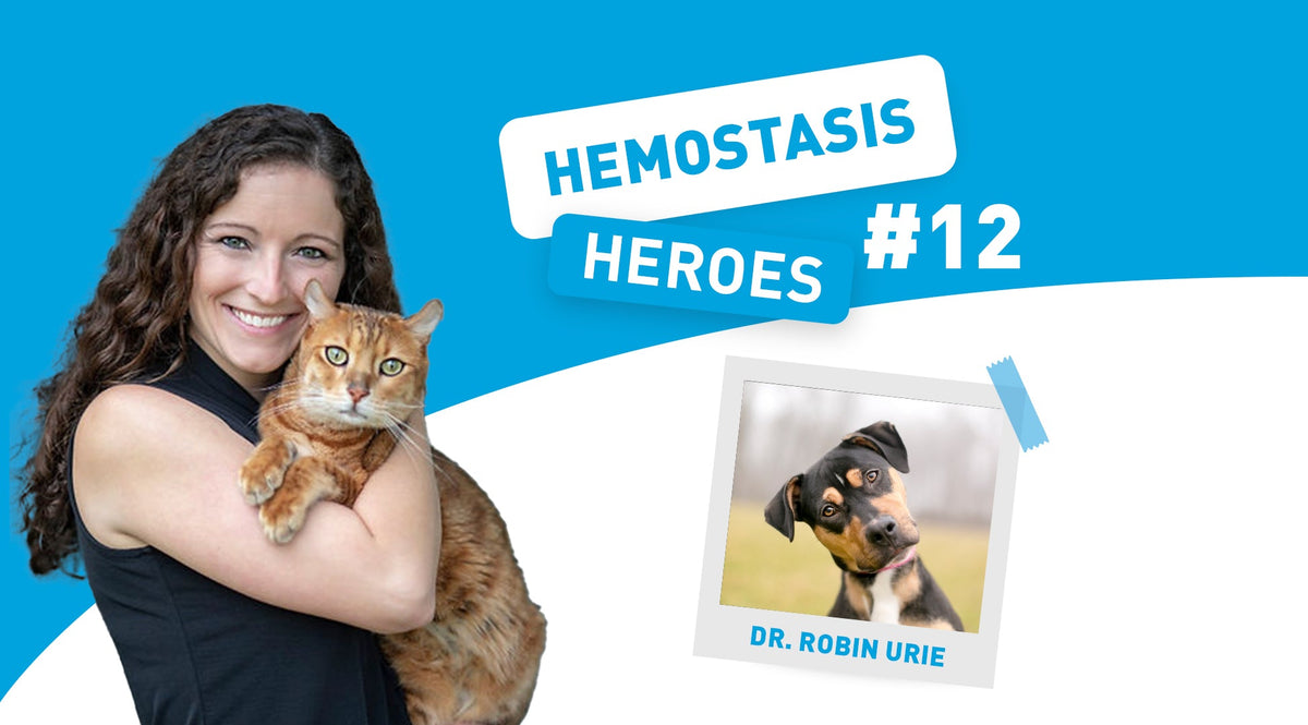 Dr. Robin Urie on VETIGEL® for Hemostasis in Veterinary Procedures ...